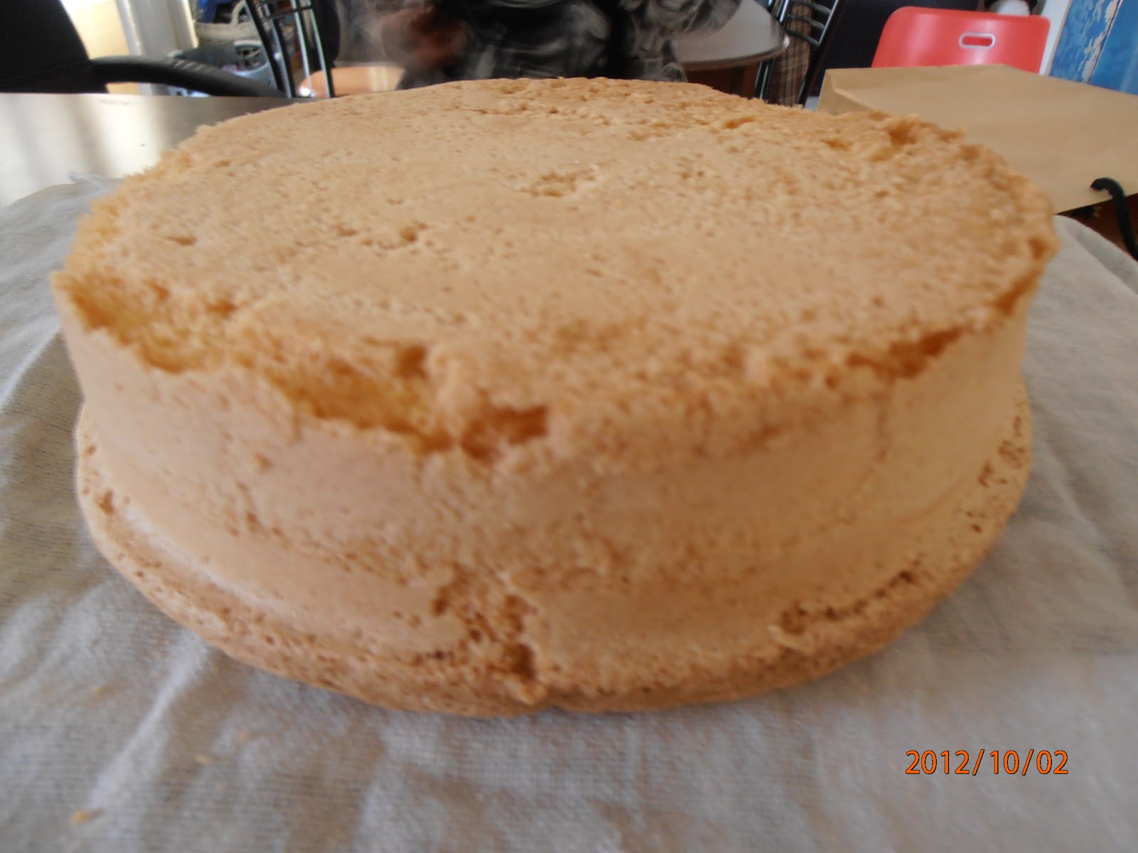Cooking for the Gang: Custard Sponge Cake
