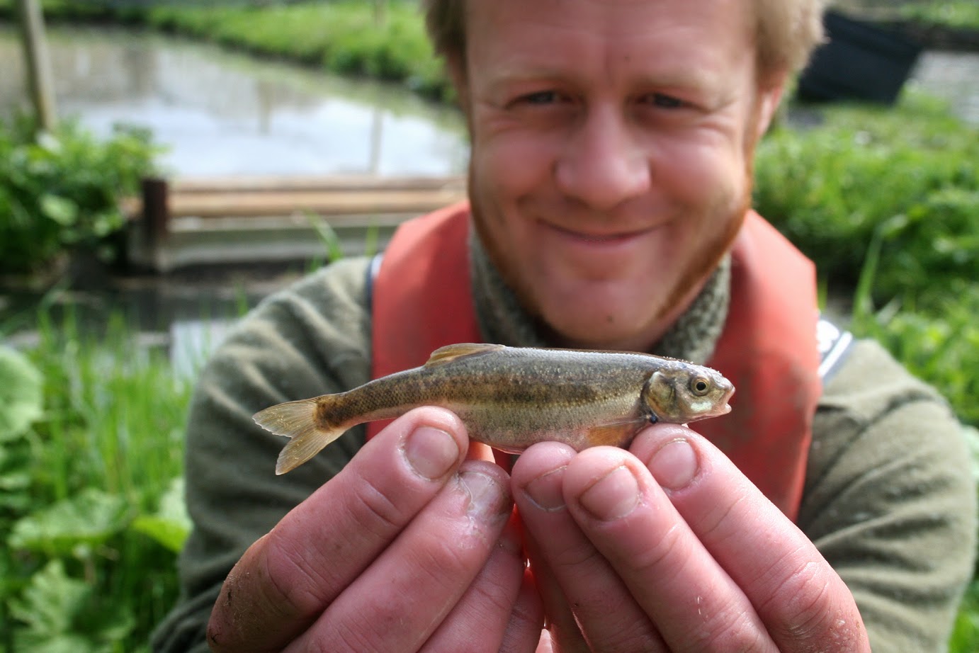 Avon Roach Project: April 2014 Roach Release