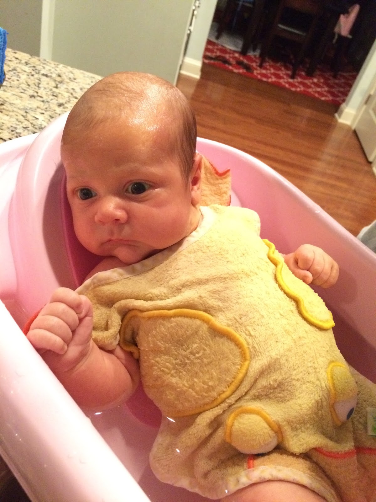 Baum Squad: The Baum Family Blog