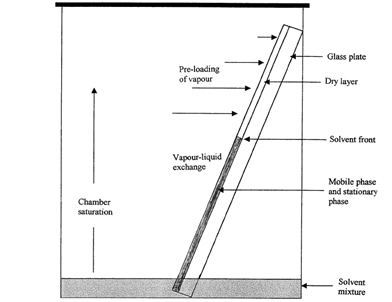 Kromatografi Lapis Tipis - SIAP UJIAN