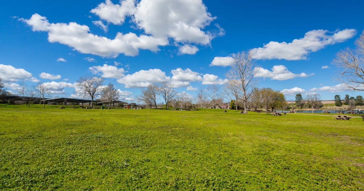 Naturetastic Blog: Shadow Cliffs Regional Park (2/27/2017) - Pleasanton, CA