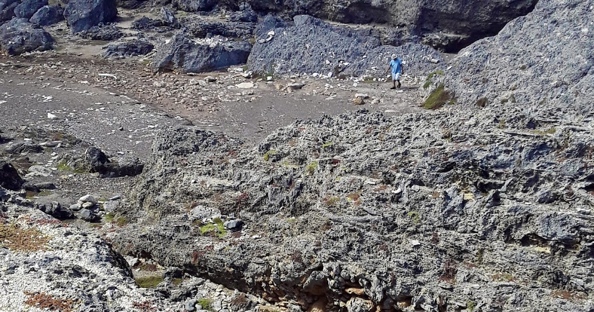 Hiking Curaçao - The Trails: Shete Boka, national park, trail along the ...