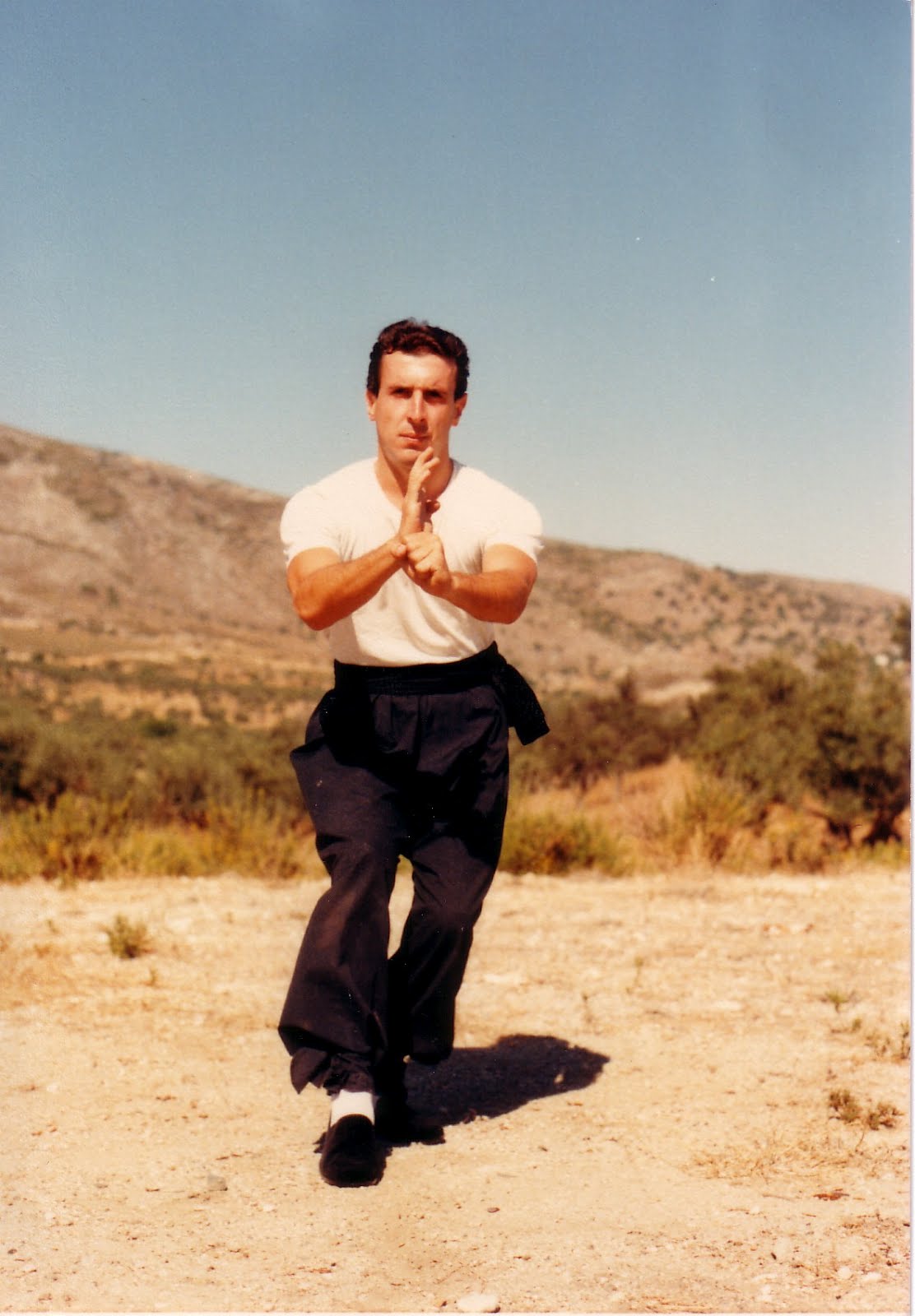 PAK MEI,Ceja Blanca,White Eyebrow, Asociacion Cheung´s Pak mei Kung Fu ...