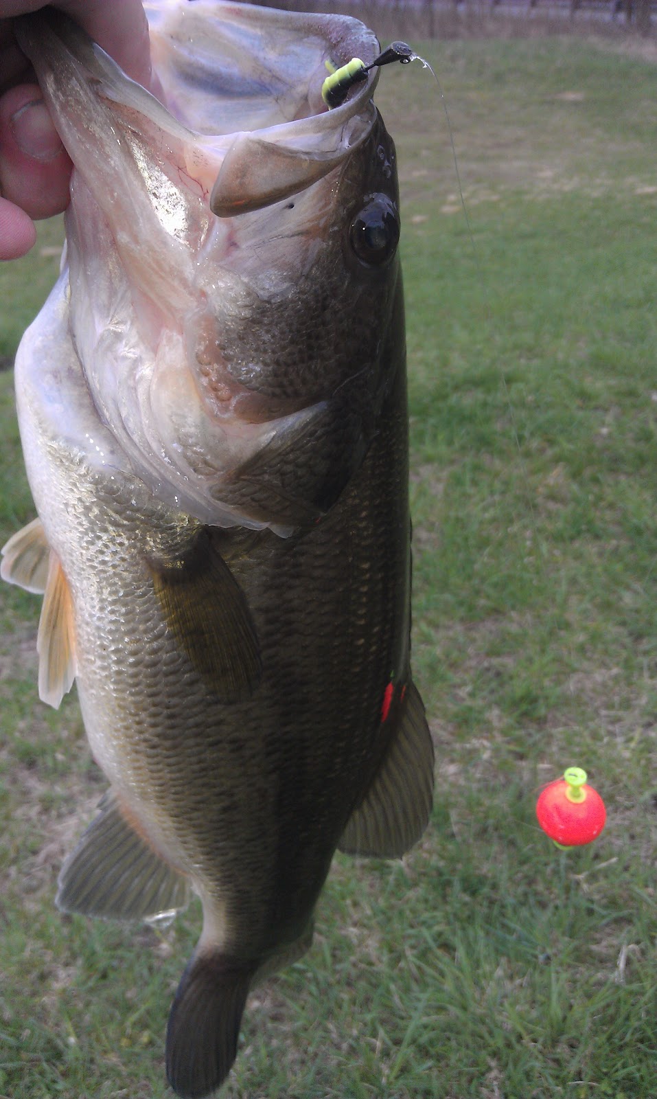 Extreme Philly Fishing: Reports (Rob Z.): Fishing in Scranton, PA (2013!)