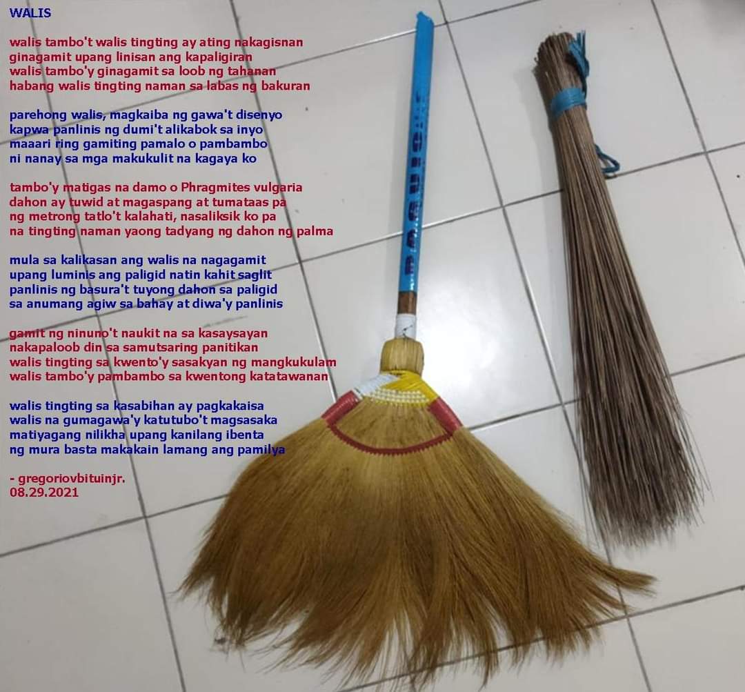 Panitikang Maralita: Walis