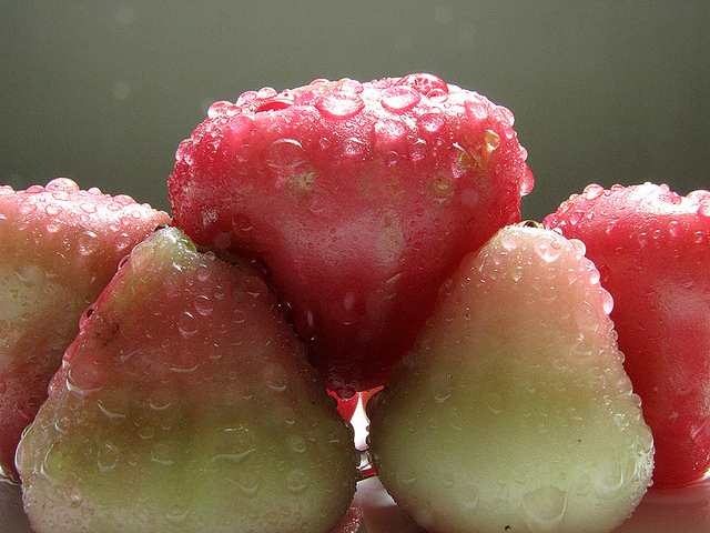 frutas do nordeste: jambo