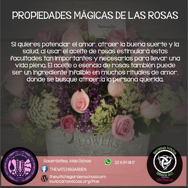 The Witchs Garden School: PROPIEDADES MÁGICAS DE LAS ROSAS