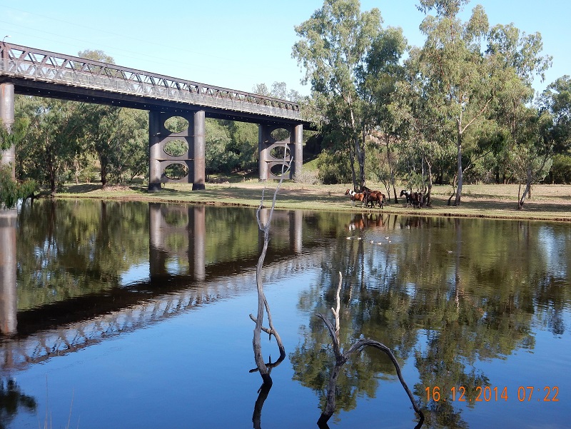 Vannessa's Story: 16th to 26th Christmas at Bingara