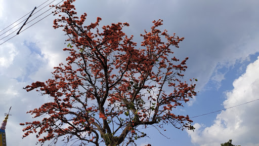 A to Z Purulia Tour Guide