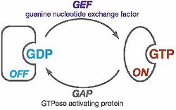 College. Science. Life