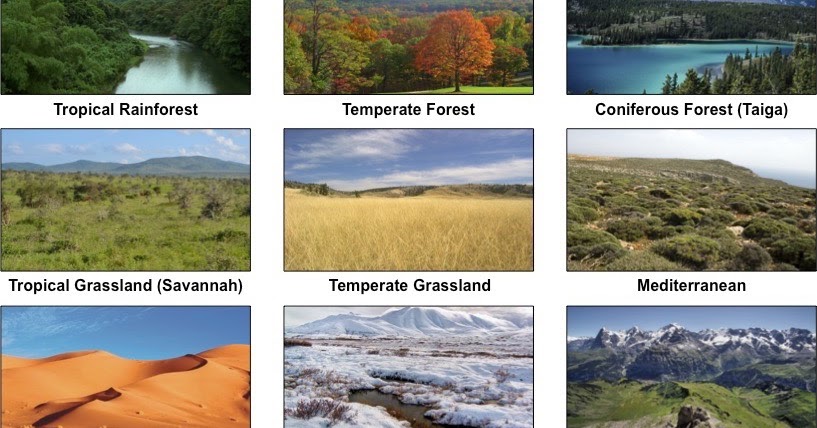 My Natural Science blog: 5th Grade. What are types of ecosystems?