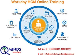 Workday HCM Online training: Workday HCM Online training