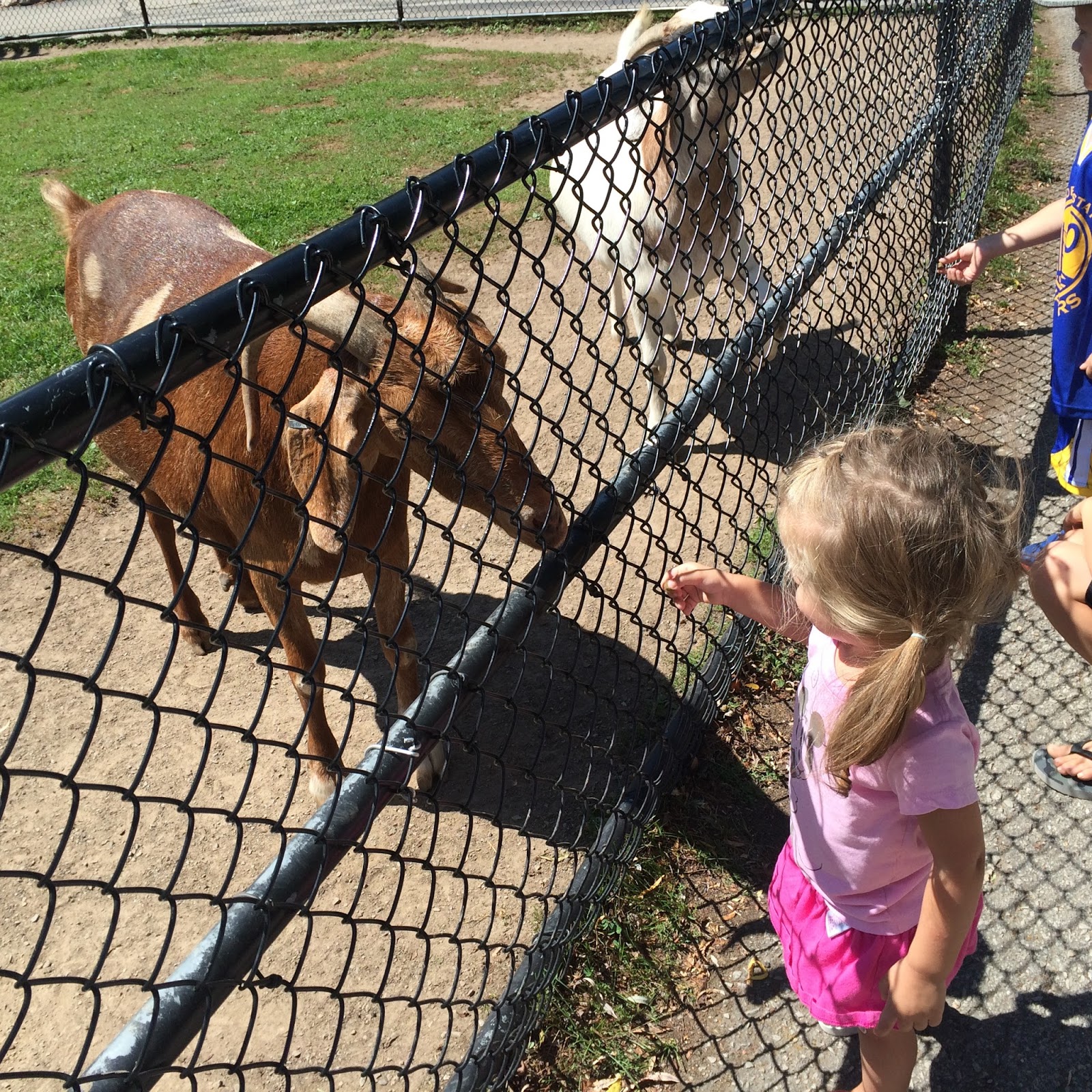 Miller Moments: summertime shenanigans