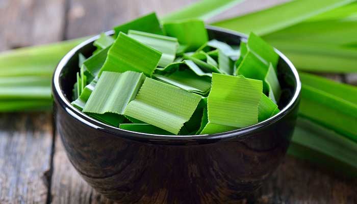 Can Pandan Help Fight Diabetes? Here Are 8 Surprising Health Benefits ...