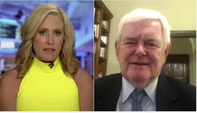 VIDEO: Fox News host slams on the brakes when Newt Gingrich mentions ...