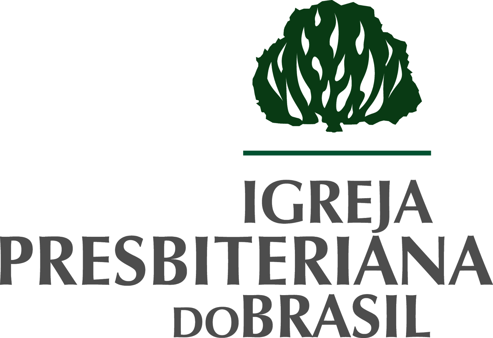 Igreja Presbiteriana de Bodocó: Nova Logo da IPB