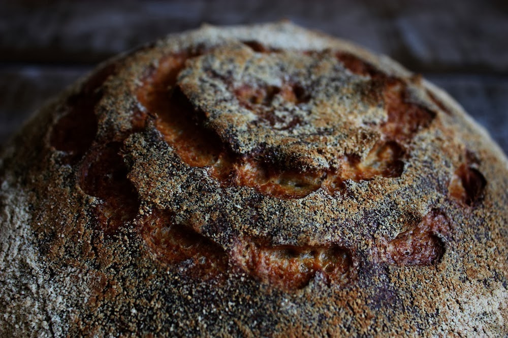 Tartine Bread Experiment: Sidebar Sunday: Michette