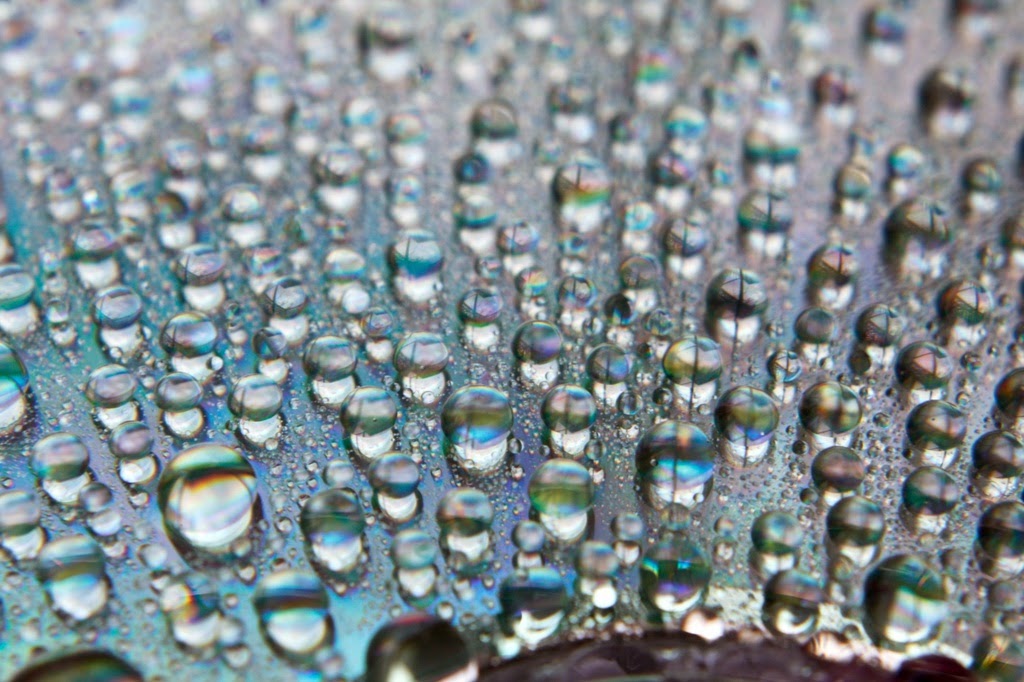 Macro Photography Water