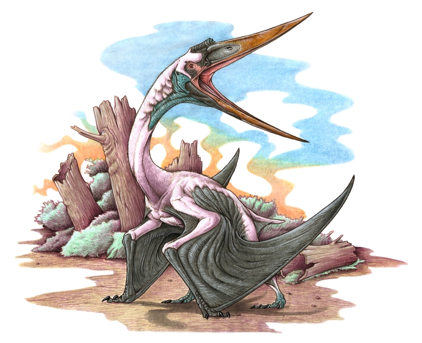 Pterosaurus: October unleashed. Aerotitan