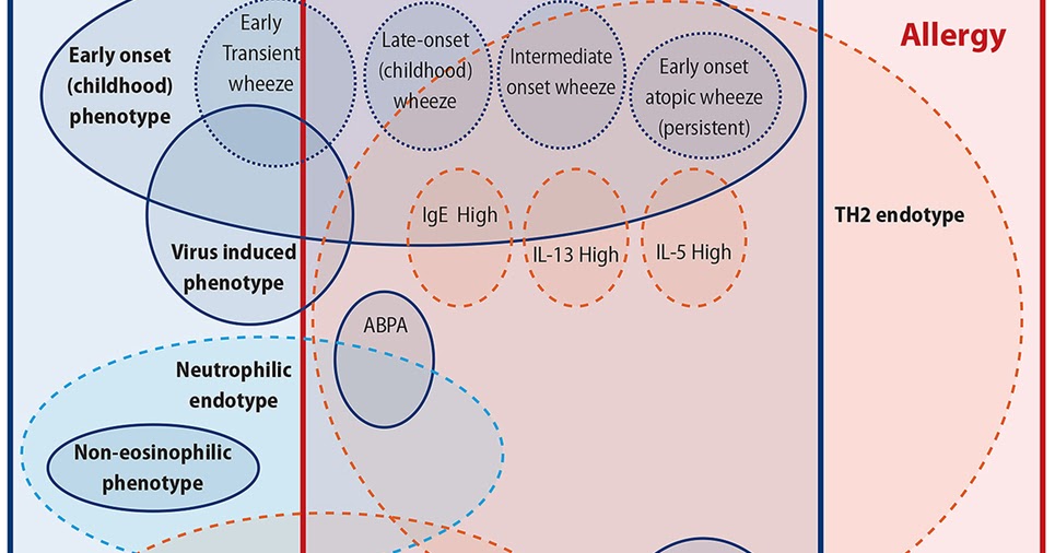 Relationship Of Allergy With Asthma There Are More Than The Allergy