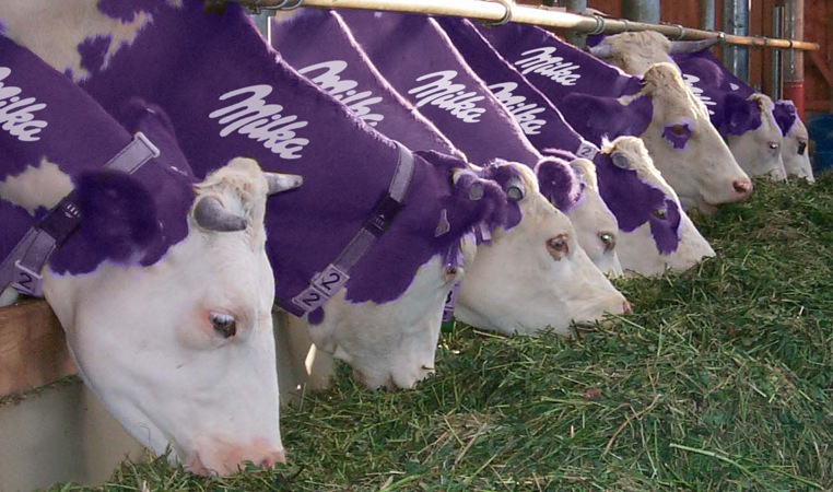 Philadelphia al cioccolato Milka: la recensione