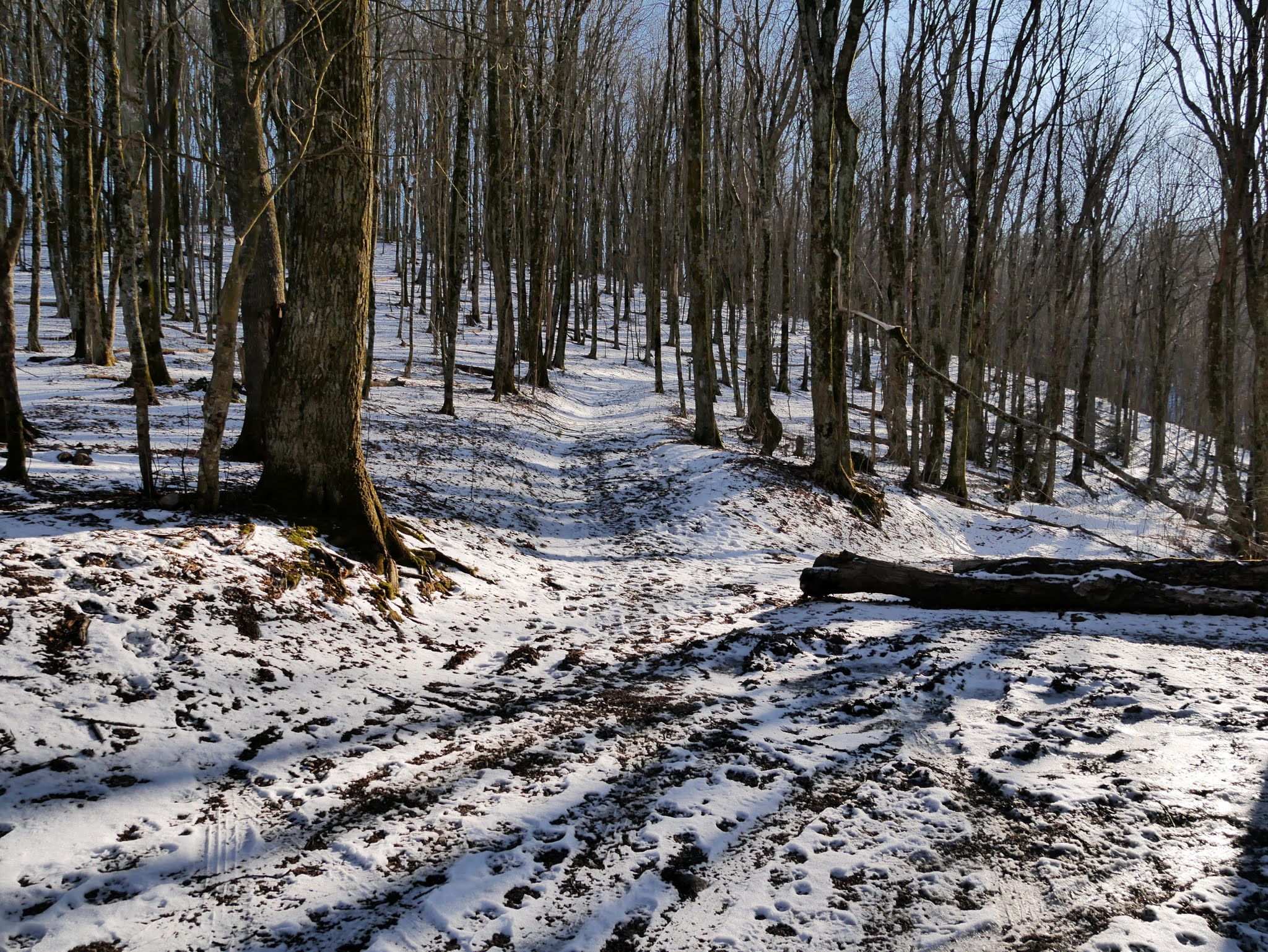American Travel Journal: Max Patch Road to Max Patch Summit ...