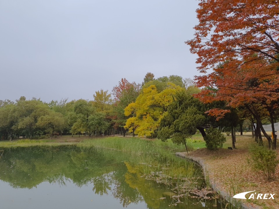 AREX: [Fall Foliage in Seoul] Seoul Forest