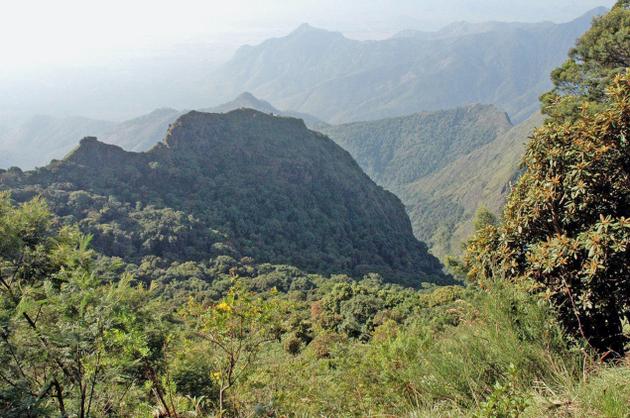 Tamilnadu Tourism: Sathyamangalam Wildlife Sanctuary and Tiger Reserve