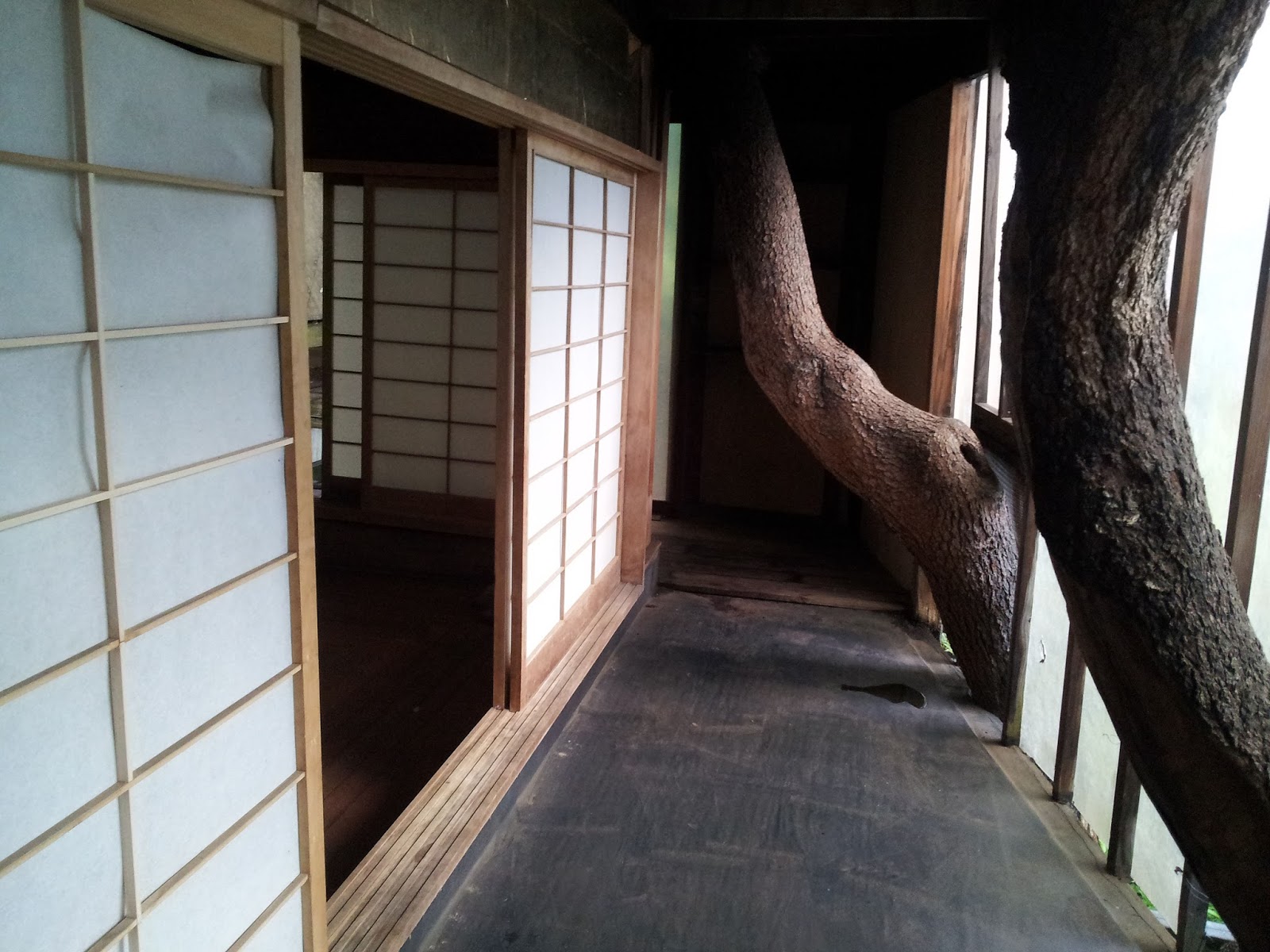 GreenZone Landscape Design: James Rose House: An East Coast Mid-Century Gem