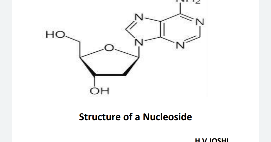ASSEMBLY OF DIFFERENT COMPOUNDS IN DNA