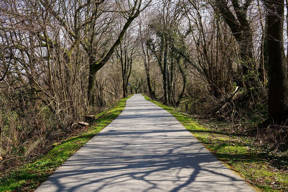 Vennbahn: The Railway That Created a Peculiar Border Problem | Amusing ...
