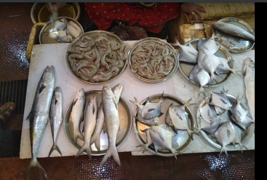 Alibaug Trip on Bike with Friends (Nagaon Kashid Janjira)