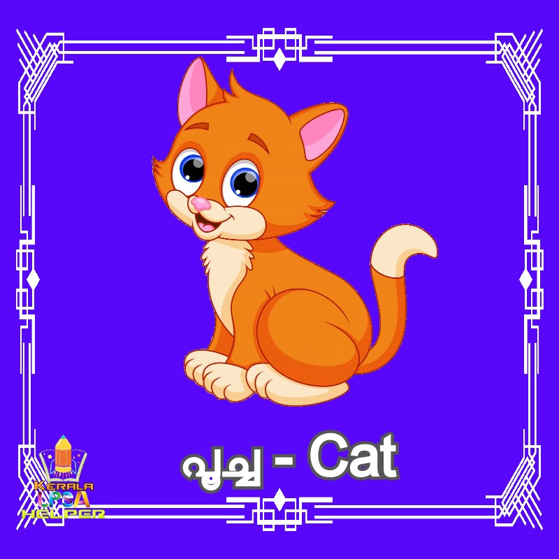 Creatures Picture Cards - Kerala LPSA Helper (LPSAH)