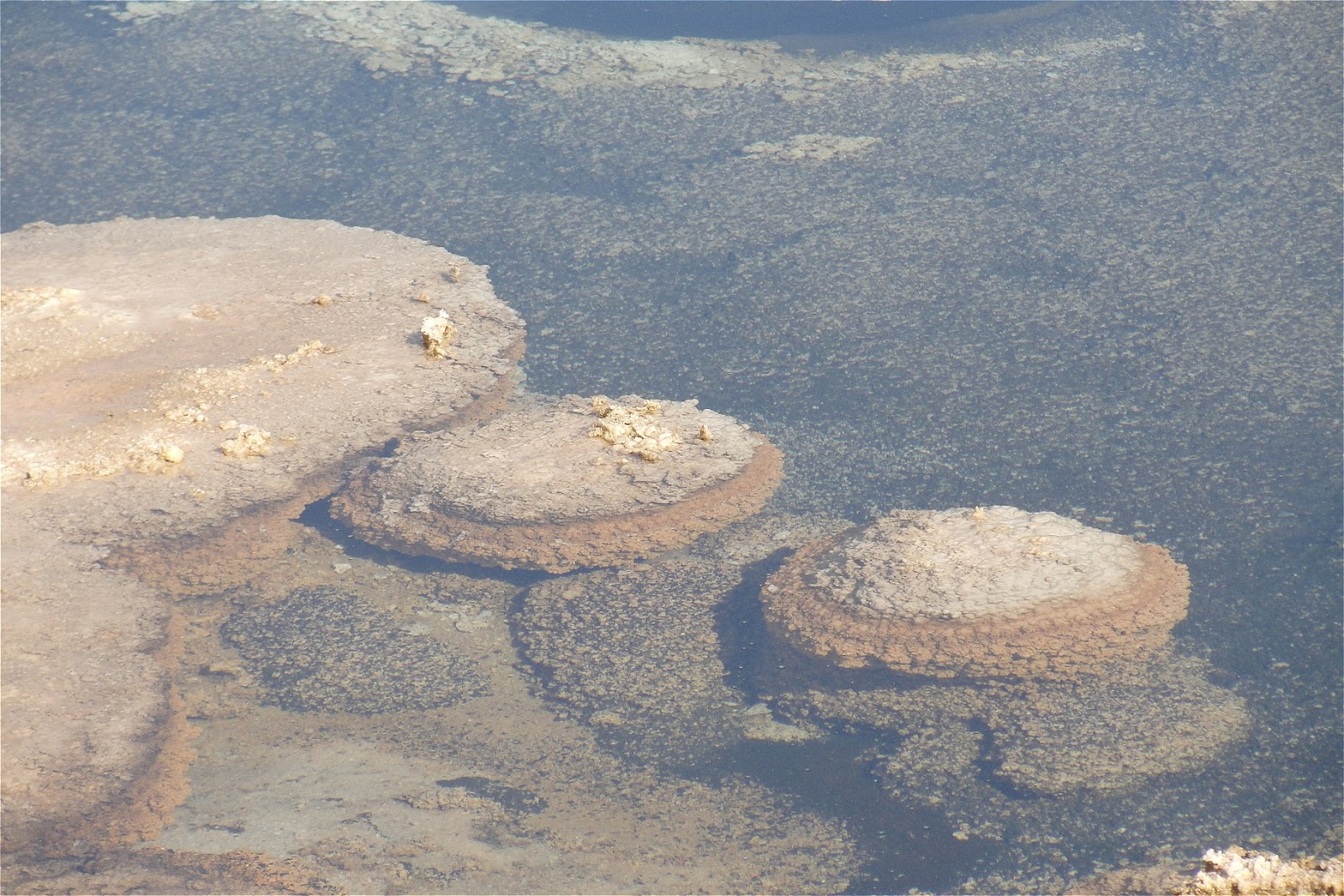 Caminantes del Desierto: EL SALAR DE LLAMARA