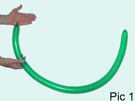 CLASSICAL: Balloon flower stem