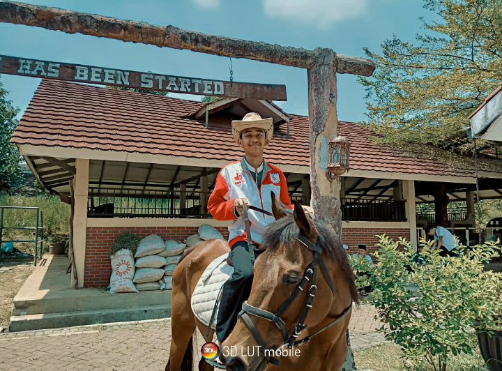 Remaja Islam Adi Sanggoro (REISAS)