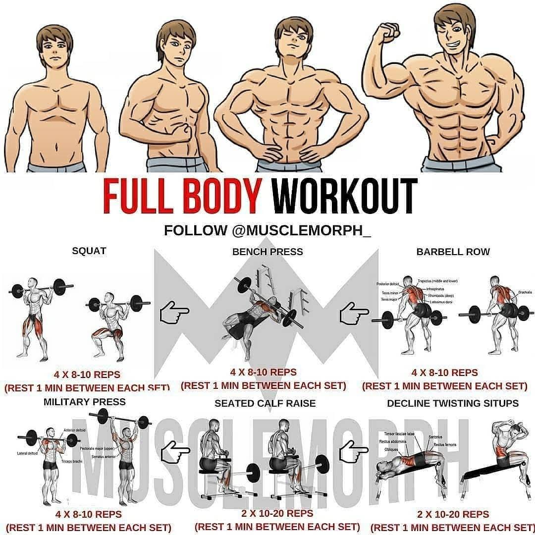 CERTIFICATE IN GYM TRAINING & FITNESS: Weigth lose workout