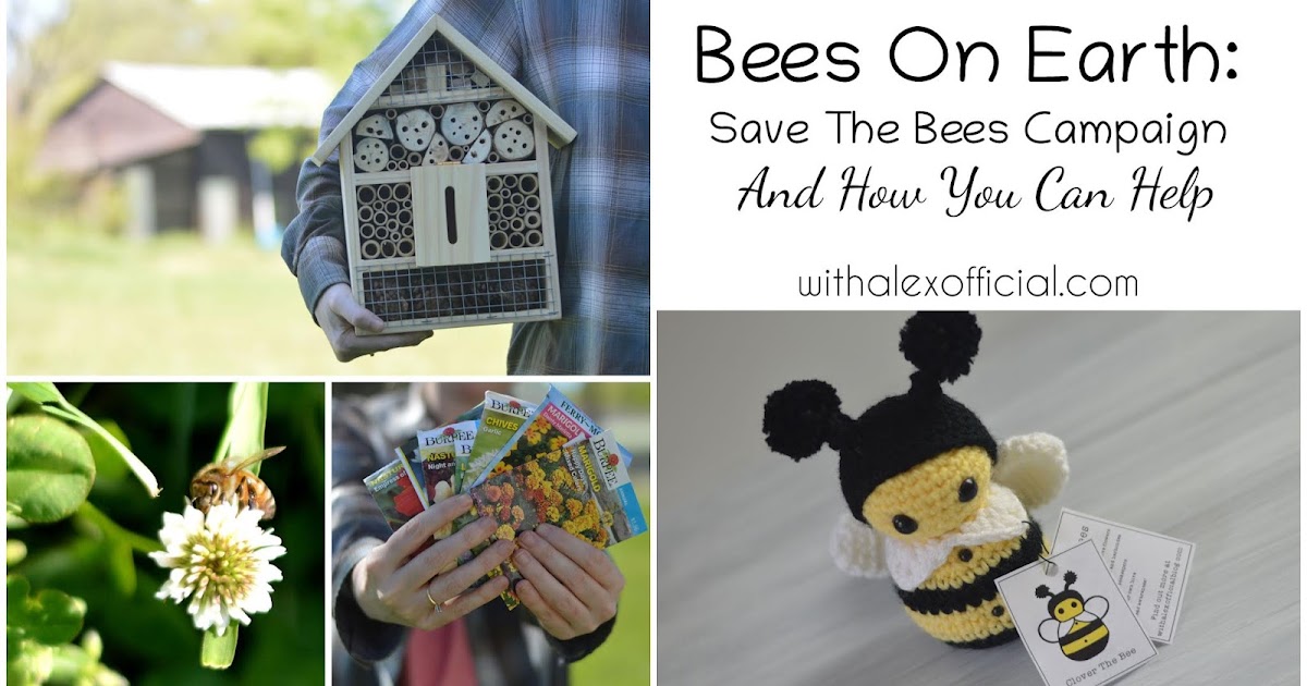 With Alex: Bees On Earth: Save The Bees Campaign