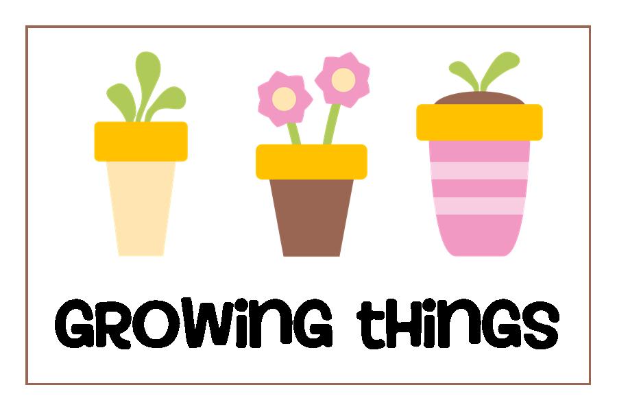 Teaching The Little People: Organizing Teacher Materials