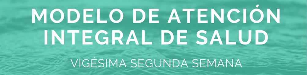 Vigésima Segunda Semana