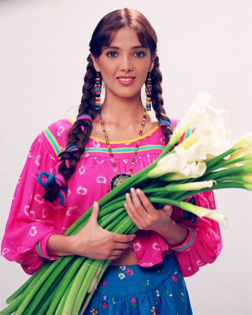 Aparato do Entretenimento: Relembrando Sucessos: Maria Isabel, a novela ...