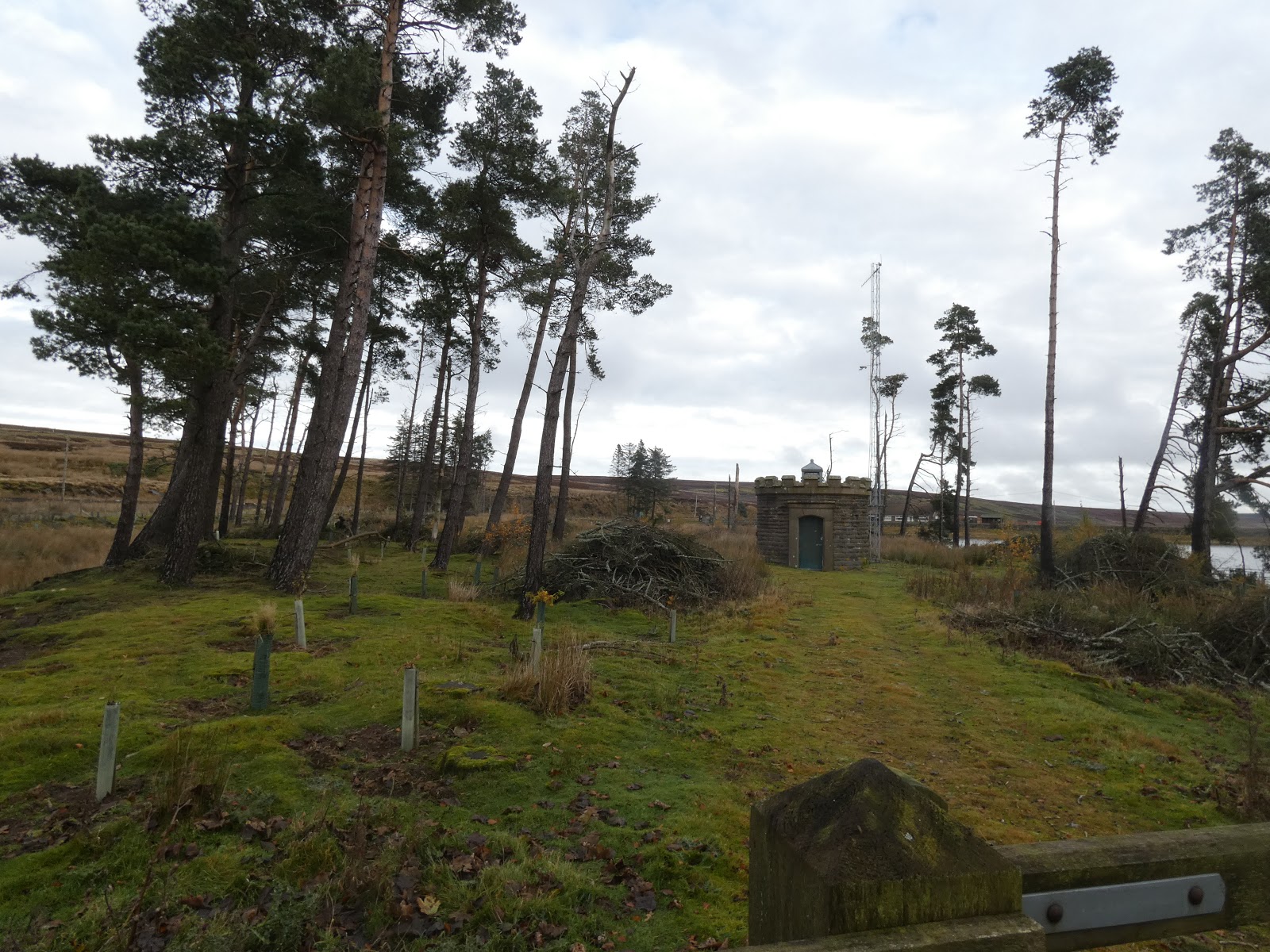 Boz North's Trail - Walking Blog: Waskerley Way - Hownsgill Farm to ...