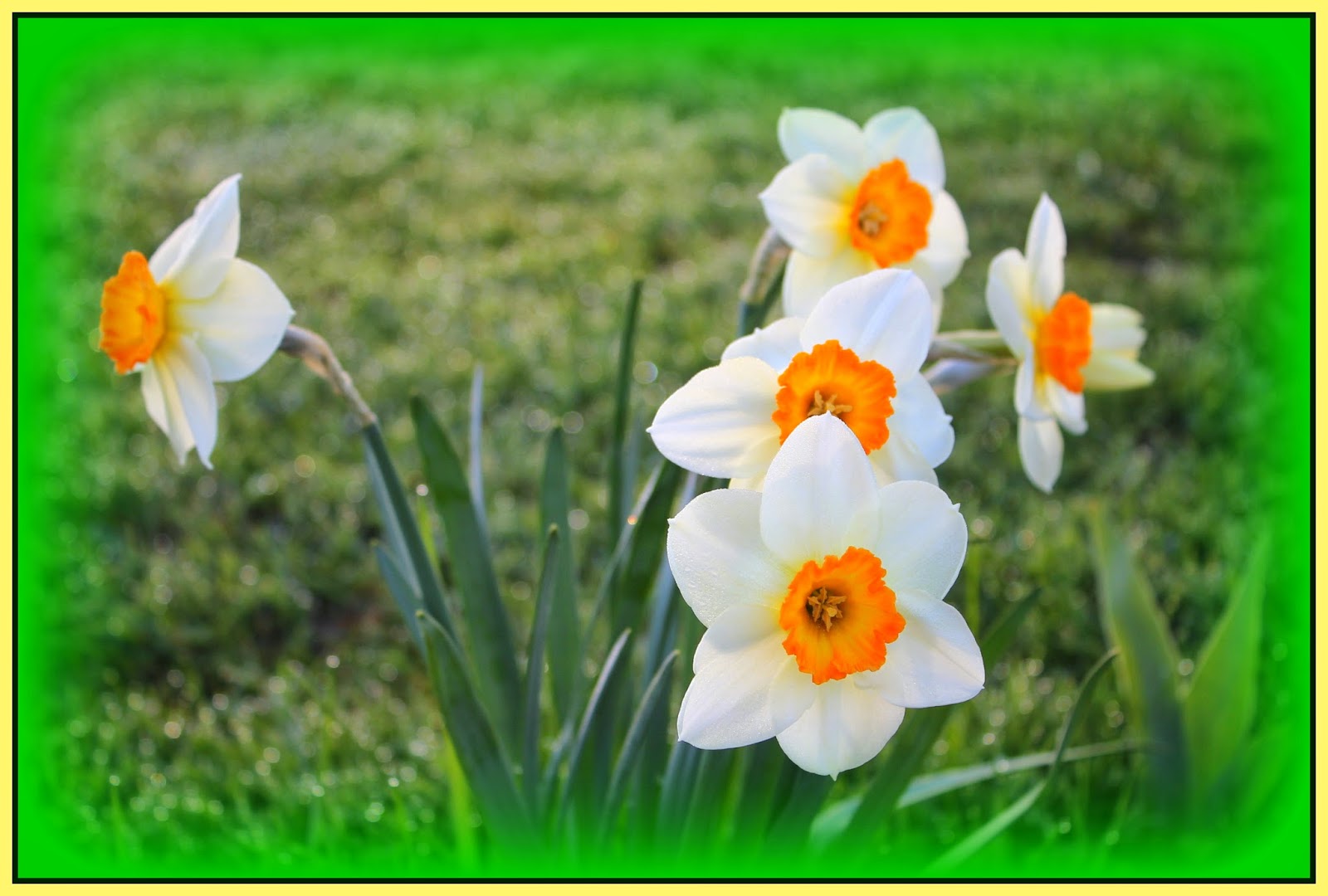 Slight Detour: Let the Madness of Spring Begin