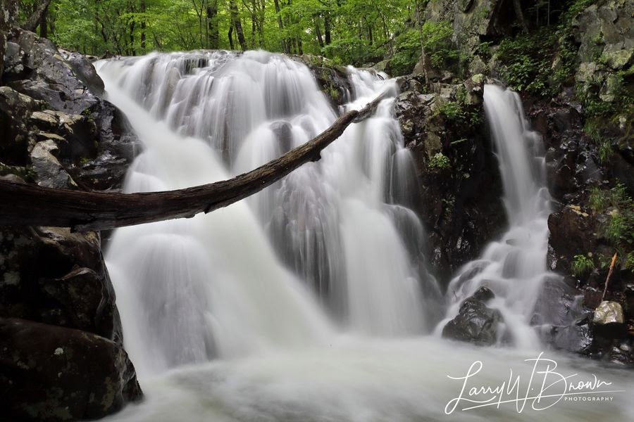 Shenandoah National Park Waterfalls Guide: Rose River Falls