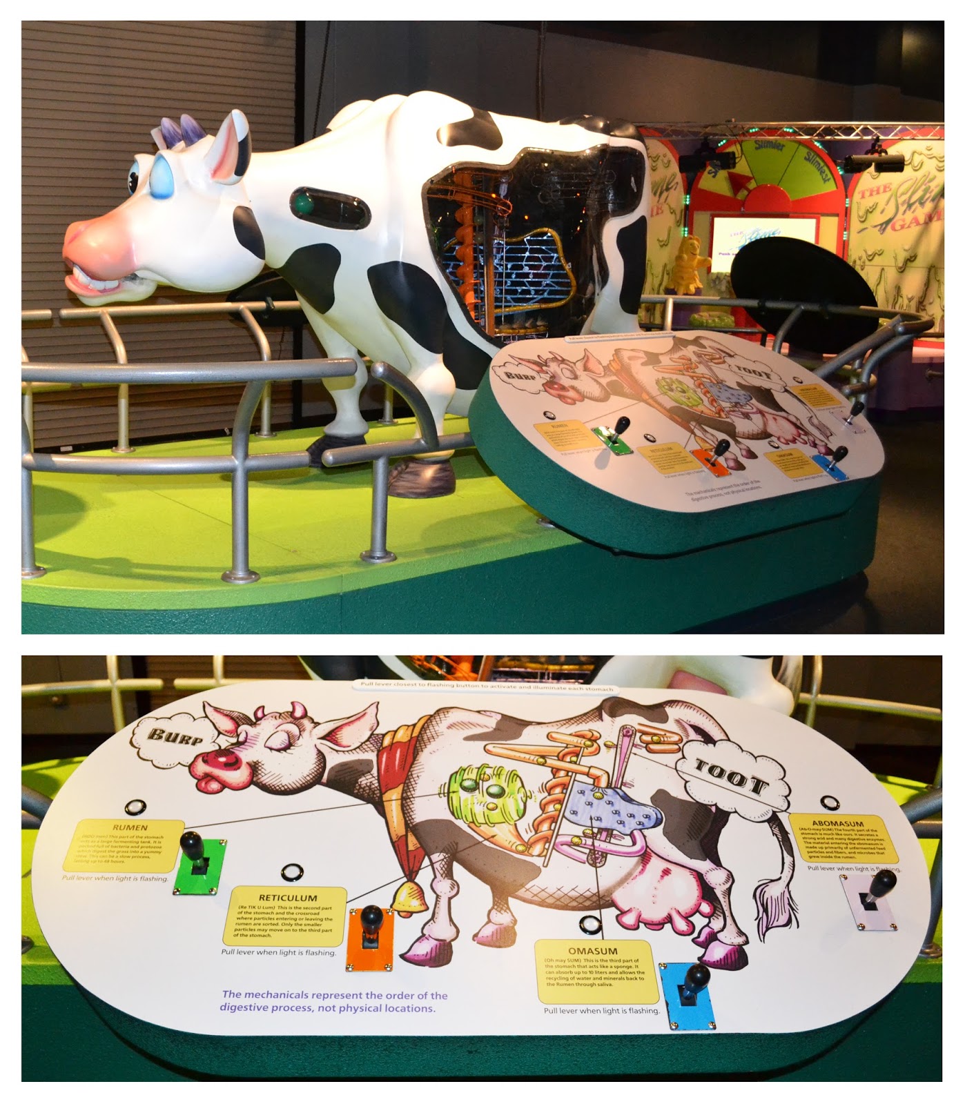 Polkadots on Parade: Discovery Science Center Presents Animal Grossology!