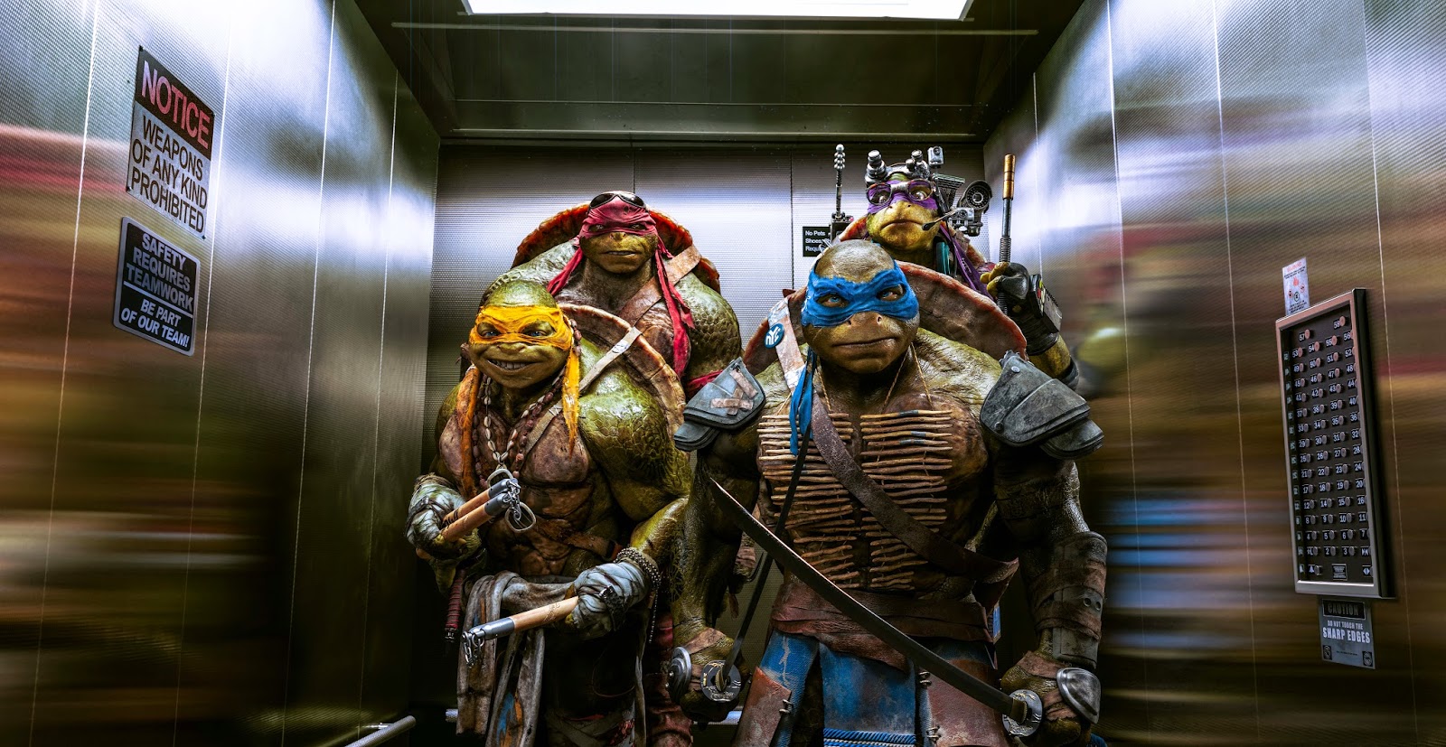 Cinemaphile: Teenage Mutant Ninja Turtles / * (2014)