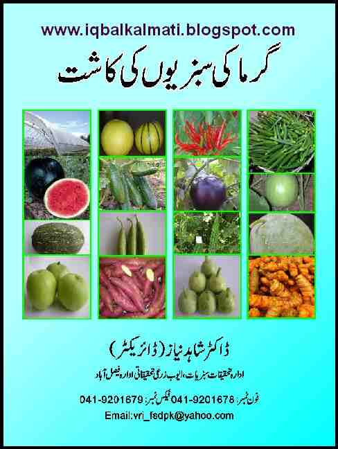 Vegetable Farming In Summer Vegetables Cultivation Methods In Urdu vegetable-farming-in-summer-vegetables-cultivation-methods-in-urdu