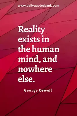 168 Harsh Quotes About Reality in Life To Provide Your Inner Power