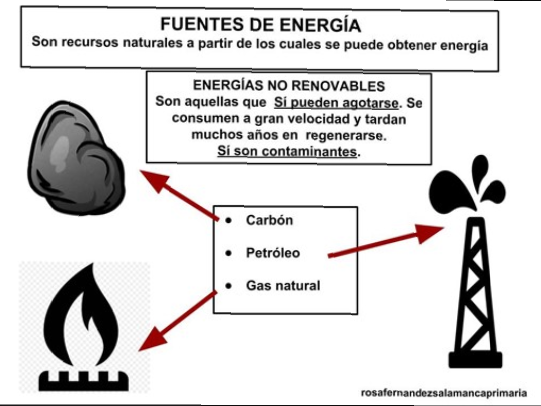Patricia Maruja Mallo: CIENCIAS NATURALES 18/05/20