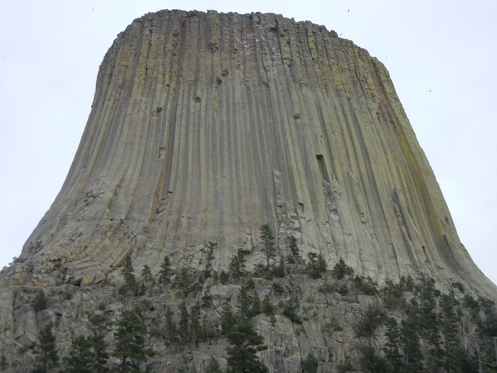 Wandering Around the World: Week 5- Devil's Tower and Colorado